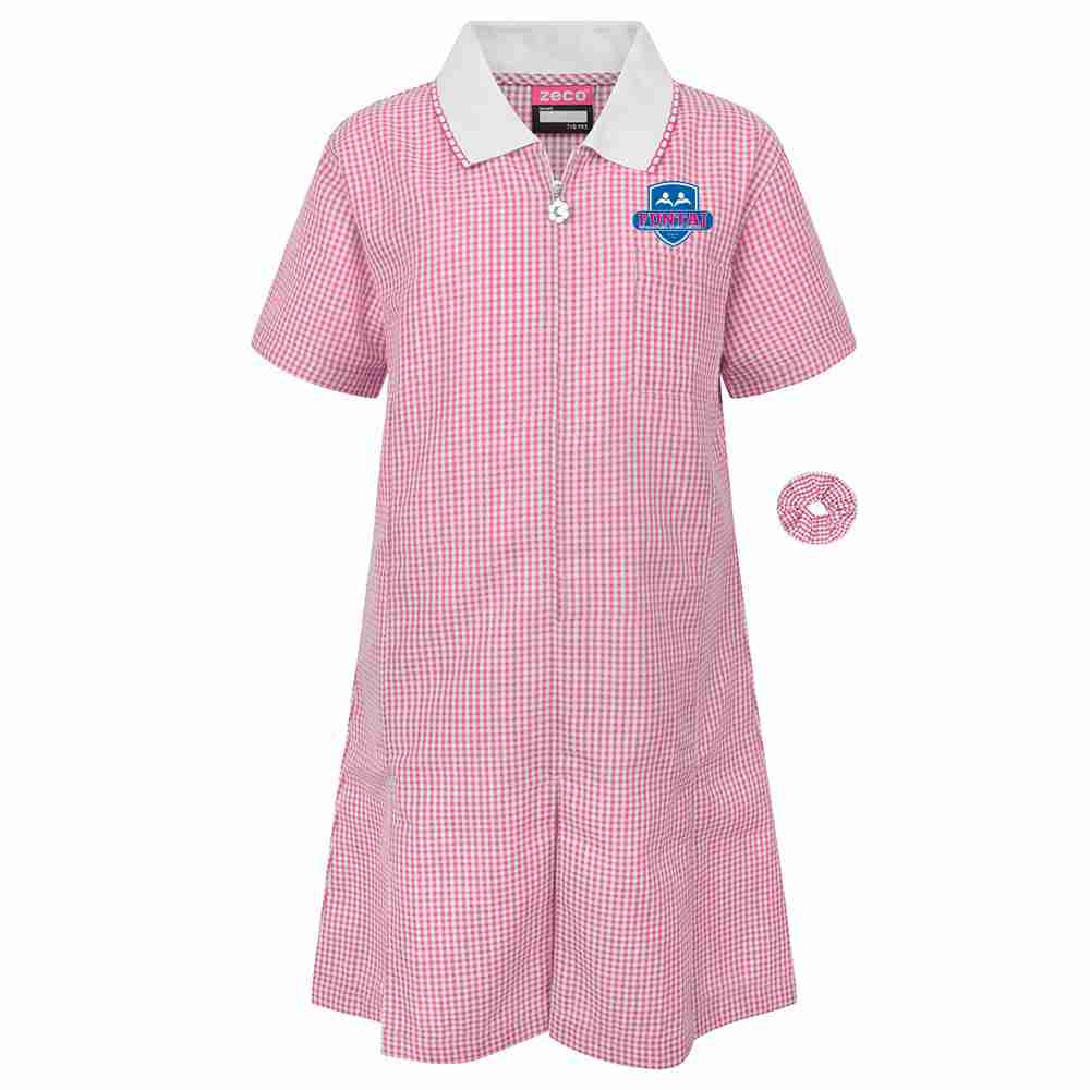 Pink Gingham Dress | Shop | Funtaj International School LTD
